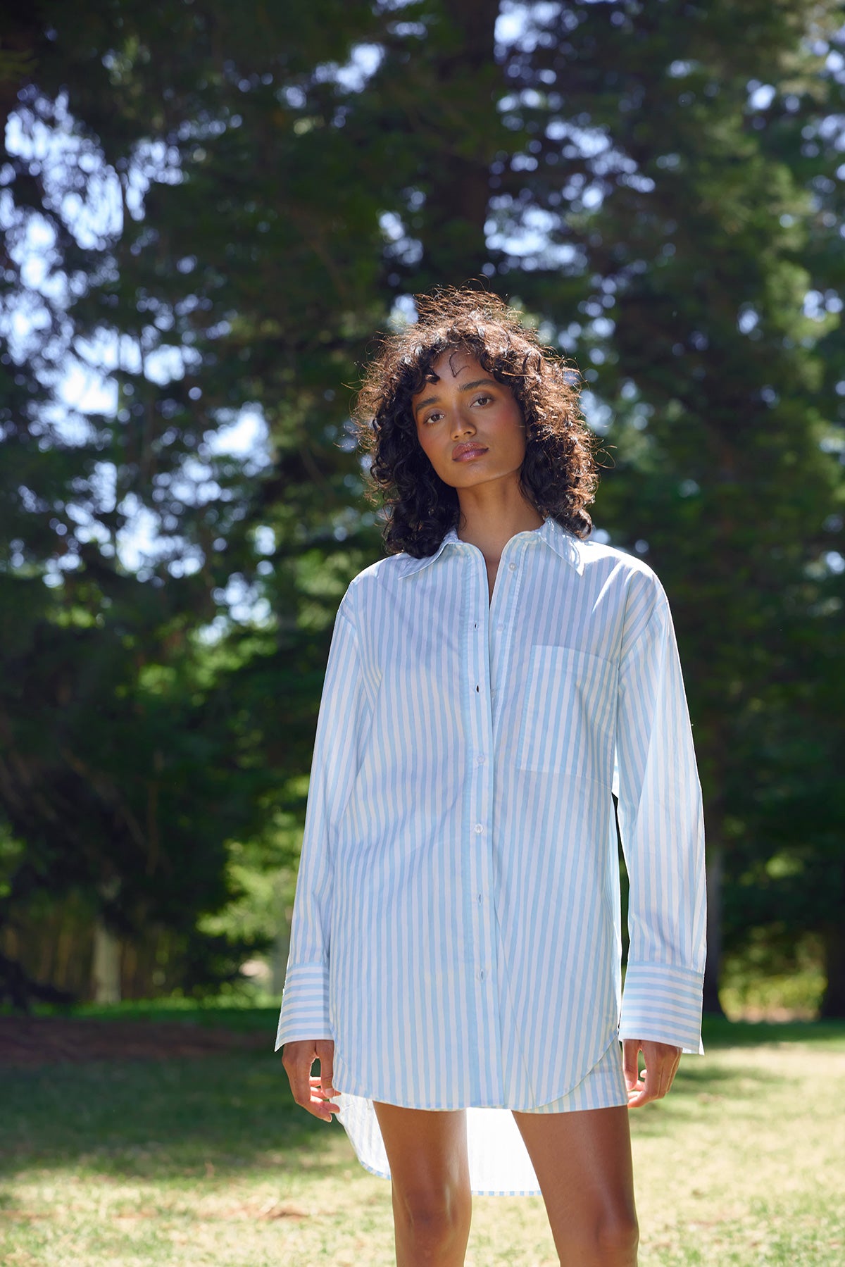 BUDDY SHIRT ARCTIC STRIPE – Aston Studio